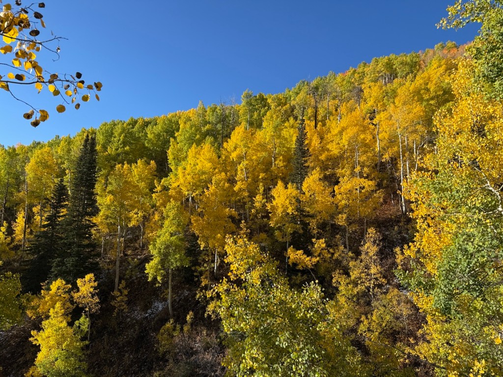 Fall Gobblers Knob Utah Hike In The Snow – Old Hiking Dude – Utah ...